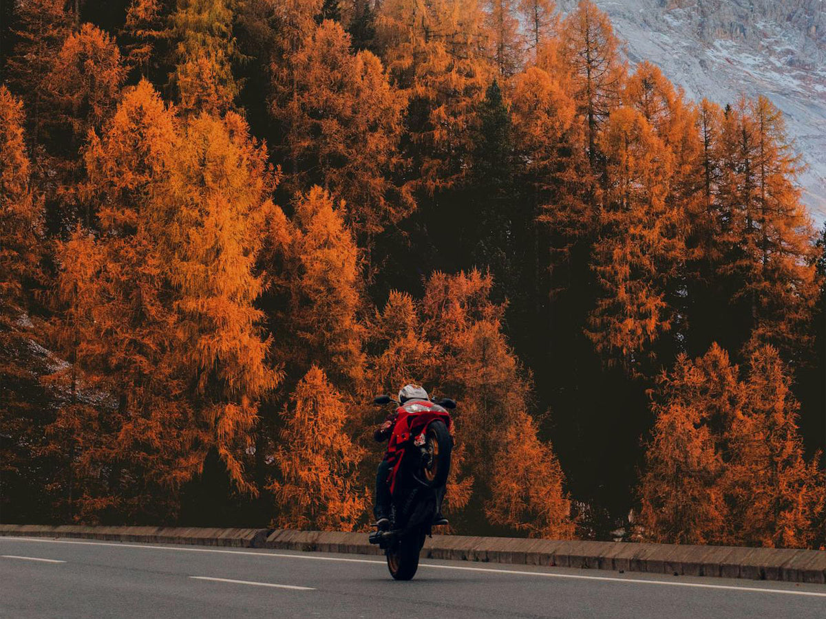 Autumn Adventures: Scenic Motorcycle Routes Worldwide – 2Wheels Hero