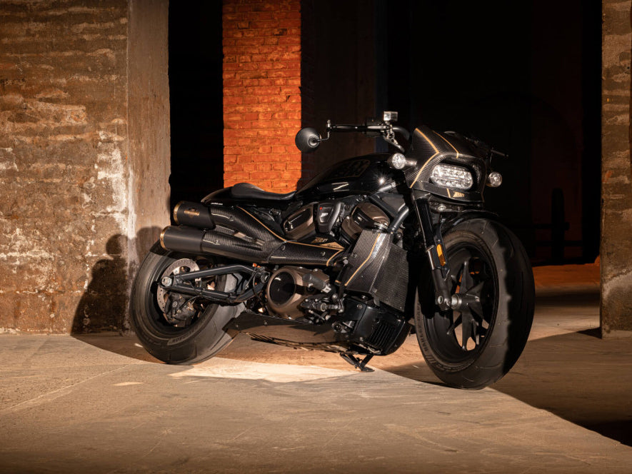 ZARD Harley Davidson Sportster S CF Headlight Fairings