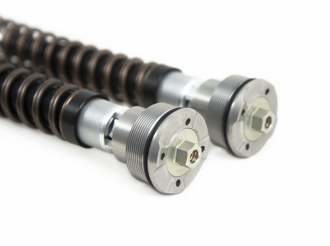 OHLINS BMW F800GS / Adventure (13/18) Front Fork Cartridge Kit ...