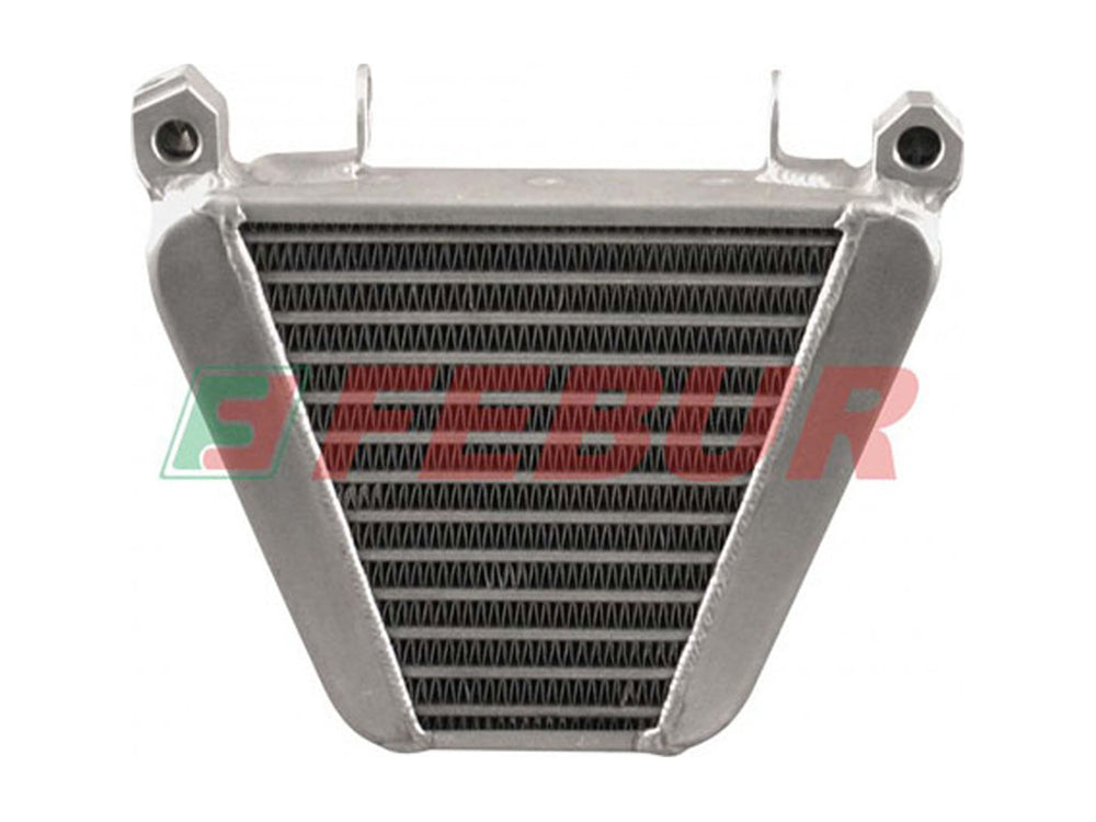 FEBUR Ducati SuperSport 900SS (98/00) Complete Increased Oil Radiator ...